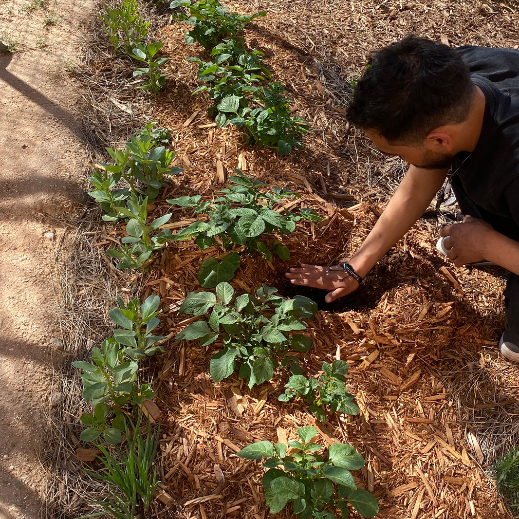 Inch by Inch Arizona | Tucson Organic Worm Castings and Compost Worms ...